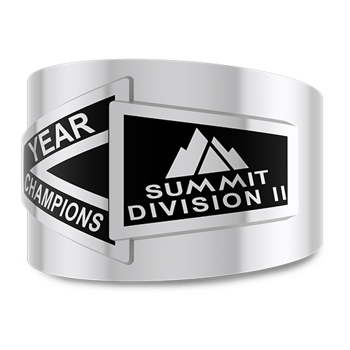 The D2 Summit Championship – Team Jewelry: Championship Jewelry by ...