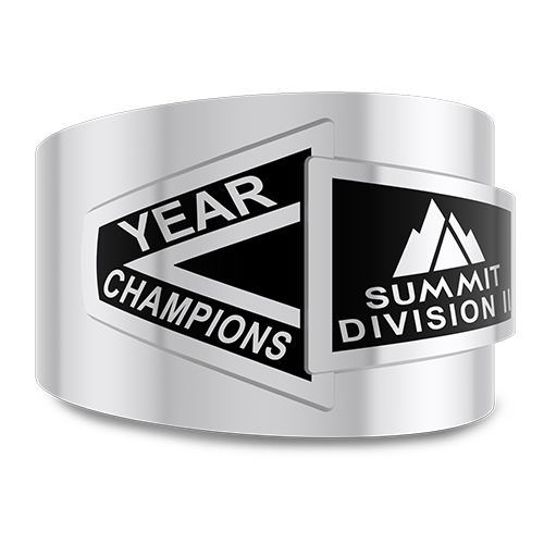 The D2 Summit Championship – Team Jewelry: Championship Jewelry by ...